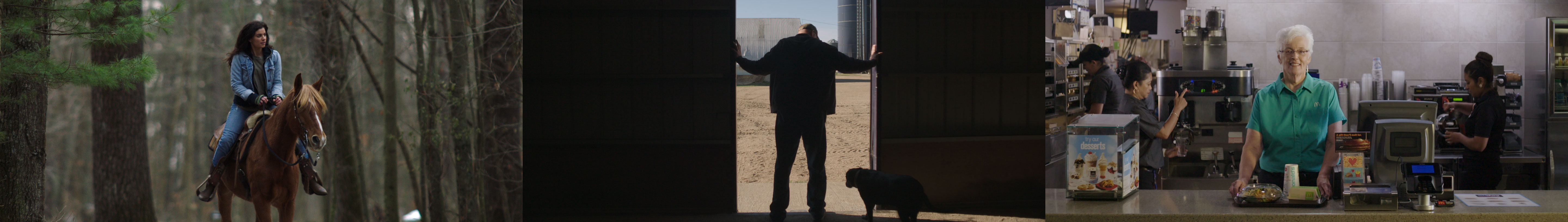 Stephen Holm Motion + Stills